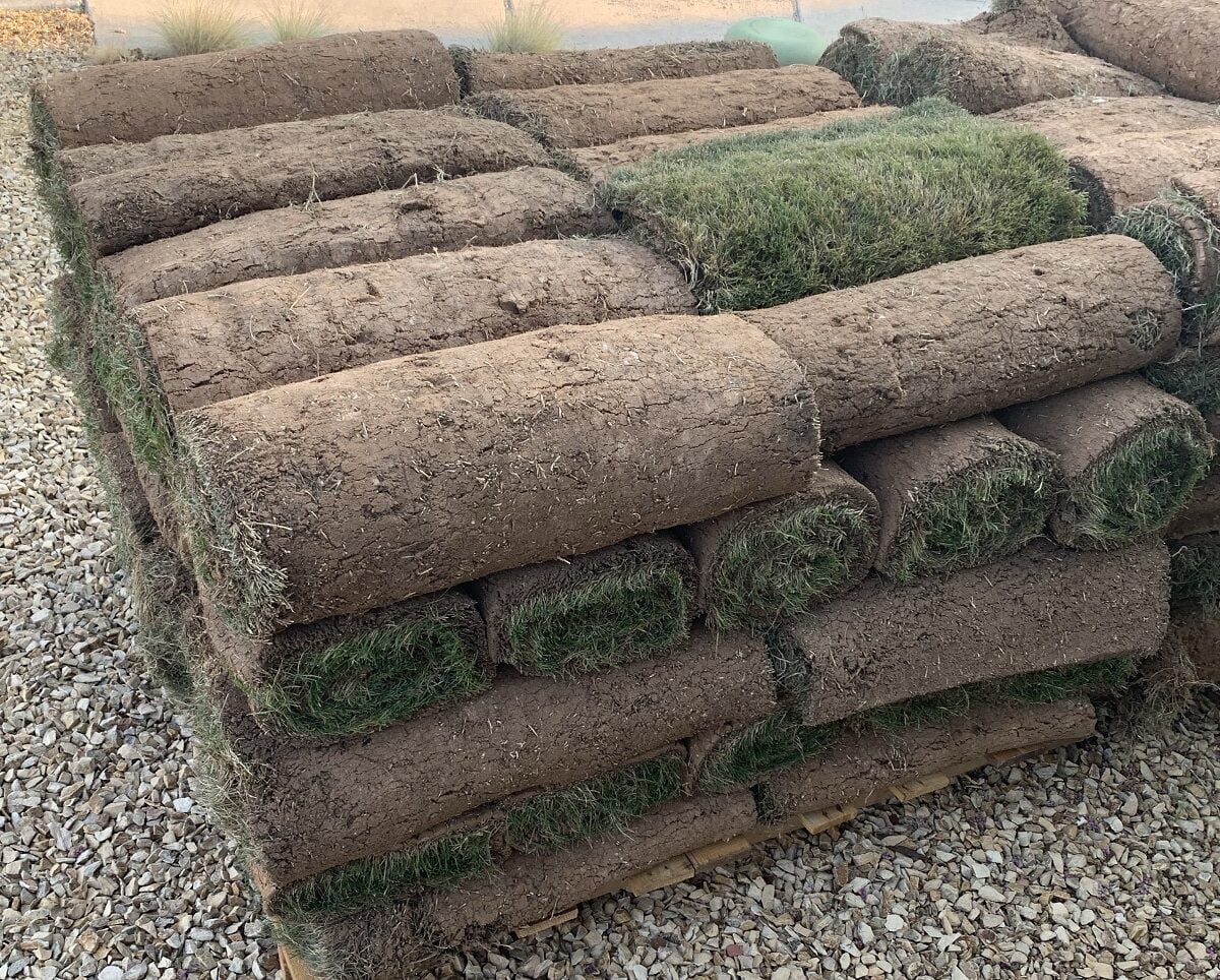 Tifway II Bermuda Sod Delivery Las Vegas NV & Surrounding